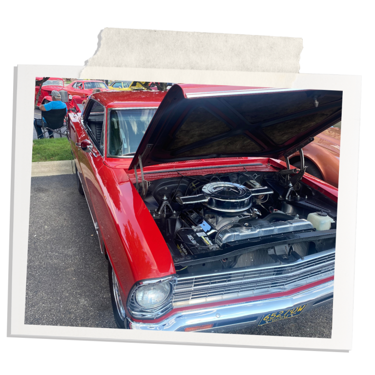 Home - Rams Horn Fraser